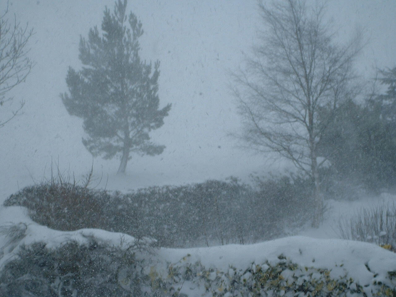 January 2004 - Member's Gallery - Netweather Community Weather Forum