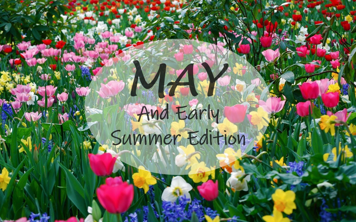 Model Output Discussion - May and Early Summer! - Forecast Model ...