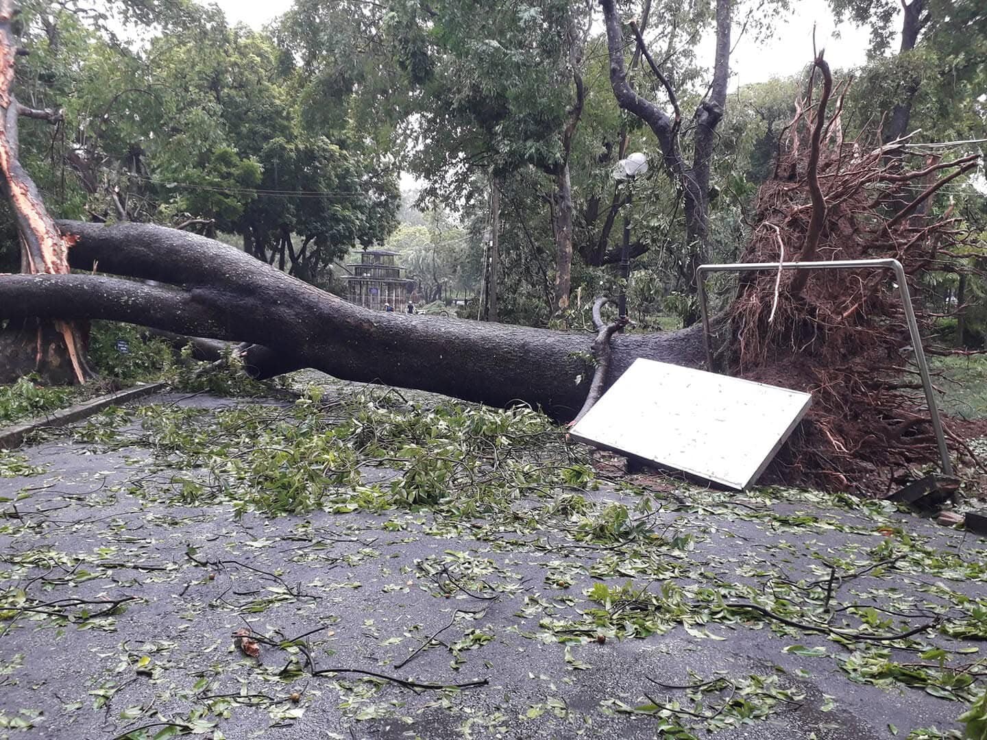 Super Typhoon Yagi |﻿ Hurricanes, Cyclones and Extreme weather worldwide