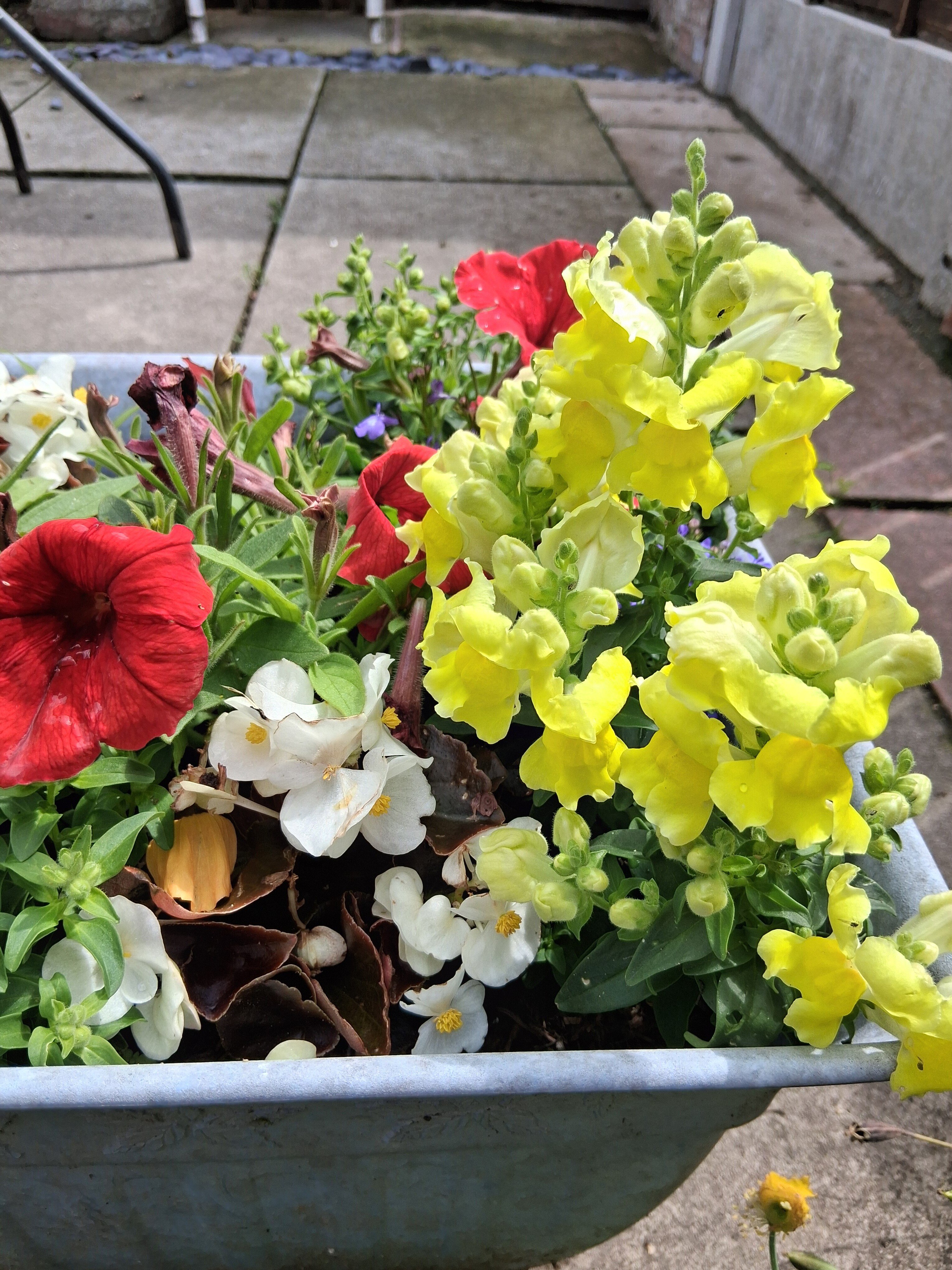 Predictions for 2026 - Winter Weather Discussion - Netweather Community ...