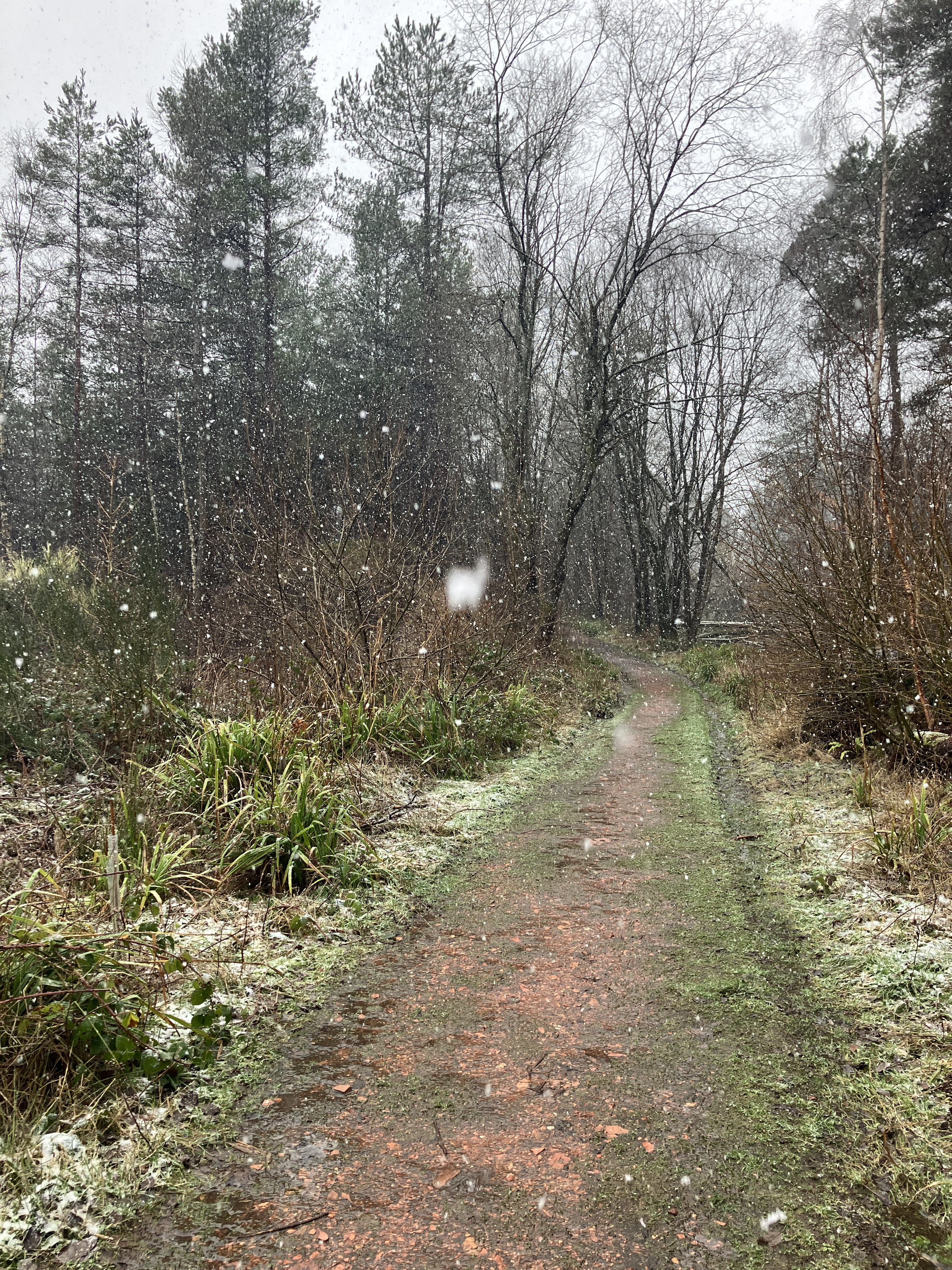 Yorkshire and E England regional discussion - Autumn and Winter 2025 ...