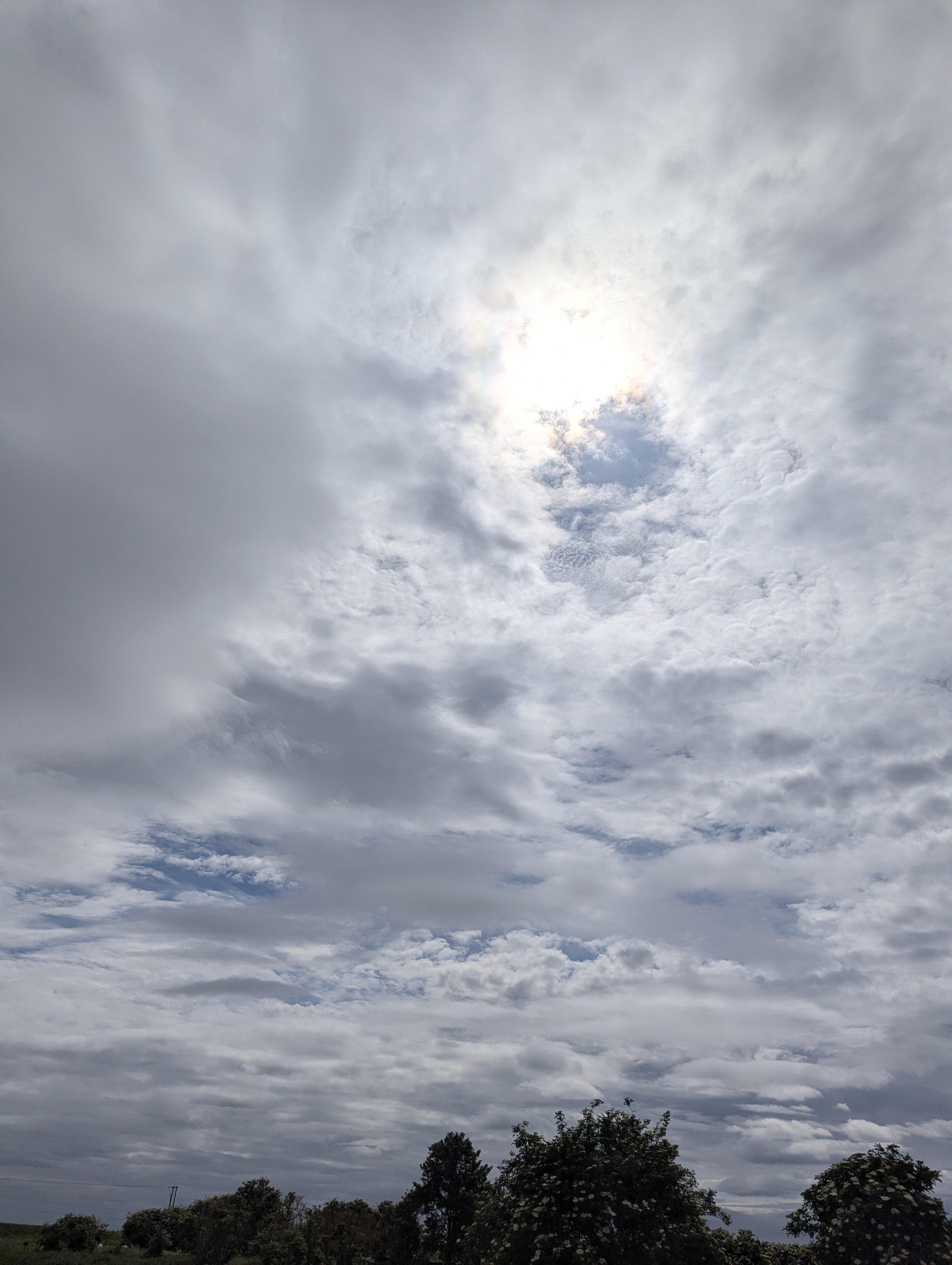 Spring through Summer 2026 - Chat and Moans - Page 161 - Summer Weather ...